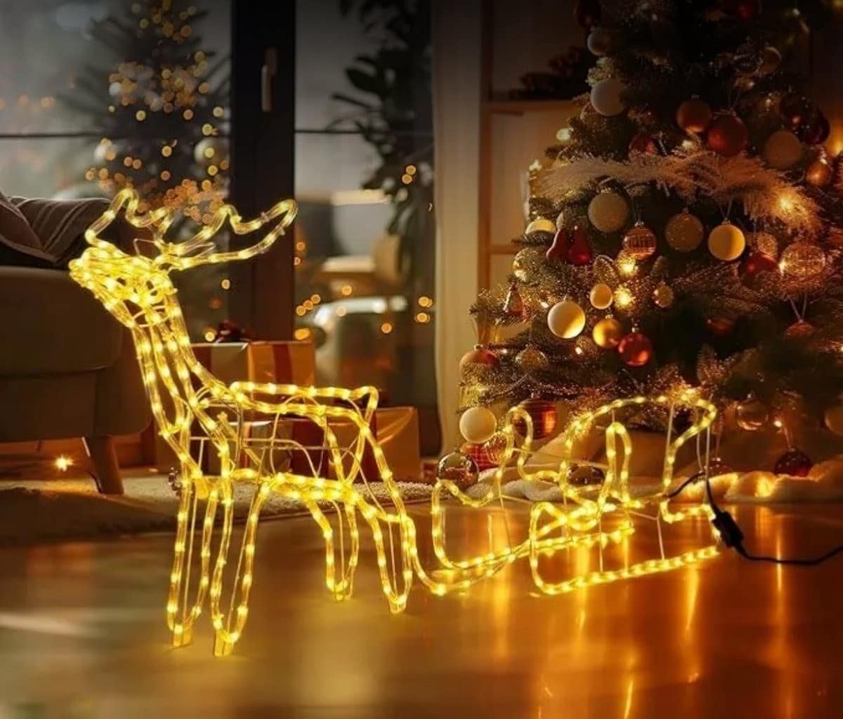 3x de mooiste rendieren met verlichting voor buiten (2026)